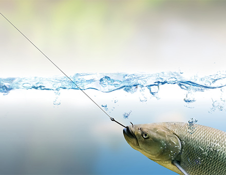 Fishing net, Fishing twine, Fishing line, Rope, Gill net – King Fish